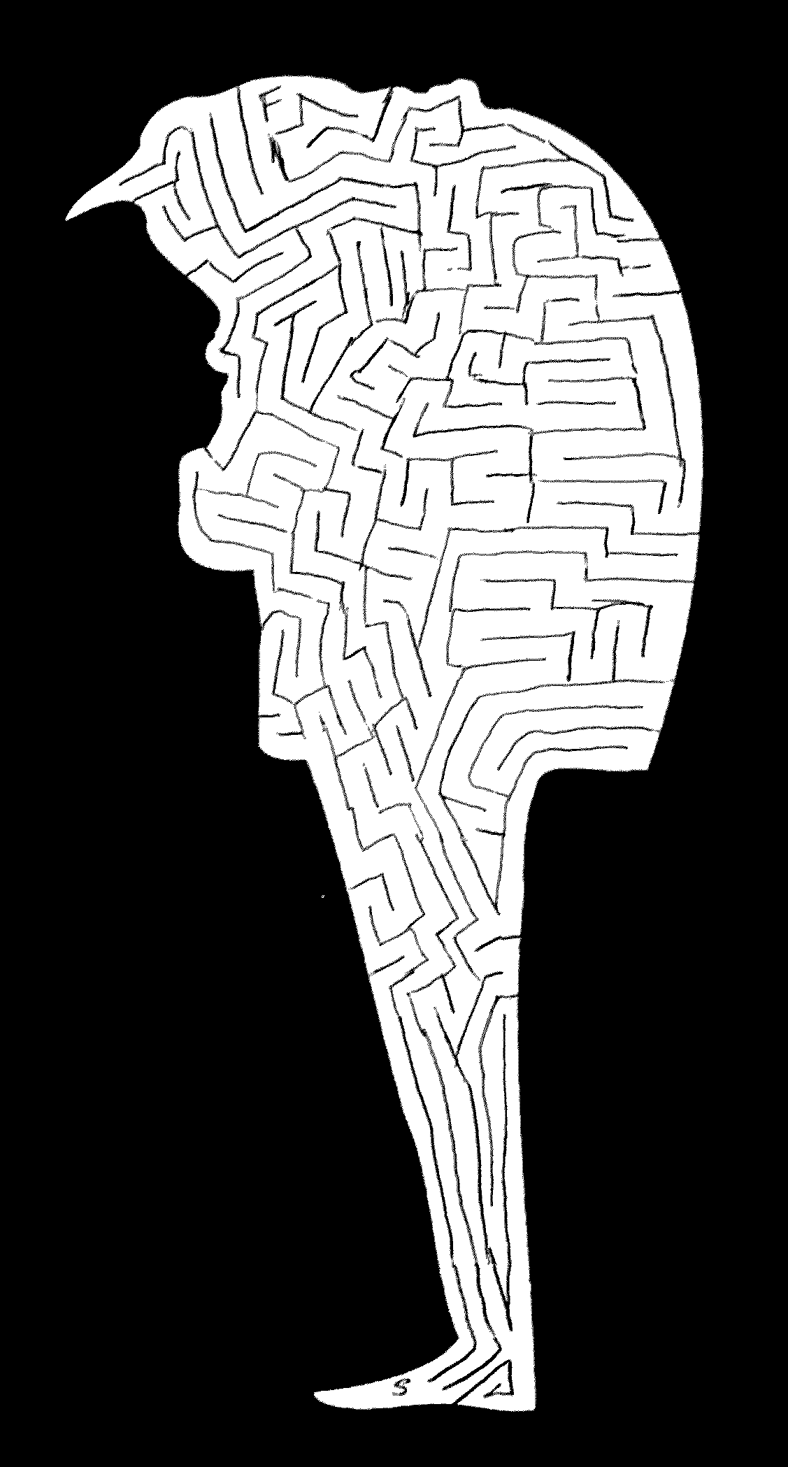 Despicable Maze – Brian Chandler